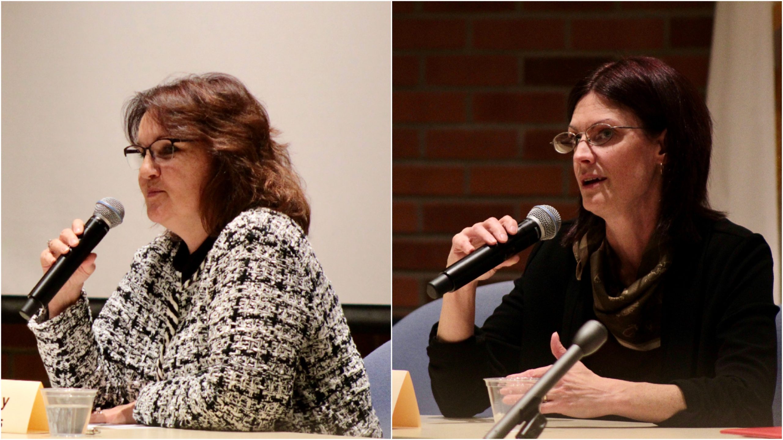 Third Ward city council seat up for grabs